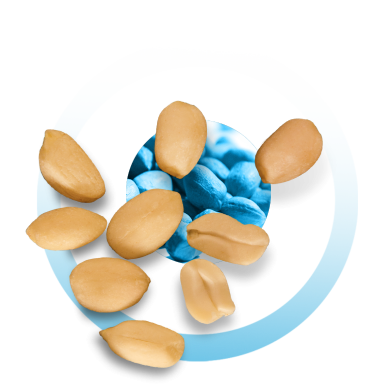 El Maní – Cámara Argentina del Maní